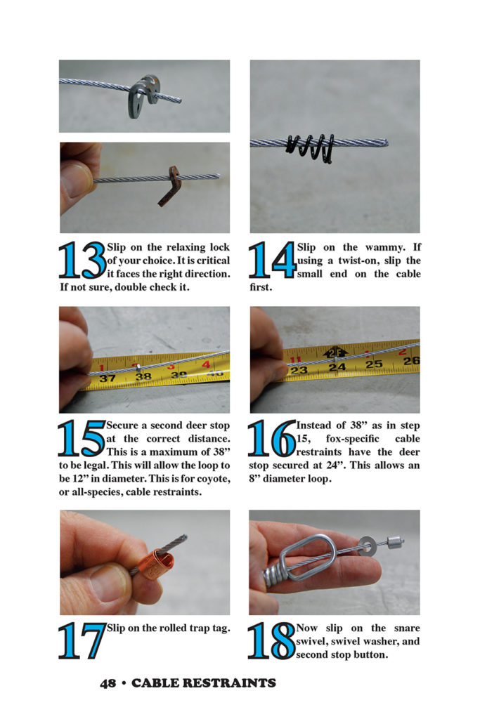Cable Restraints — The Art of Live-Catch Snares | RichFaler.com