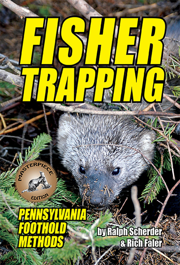 Fisher Trapping – Pennsylvania Foothold Methods | RichFaler.com